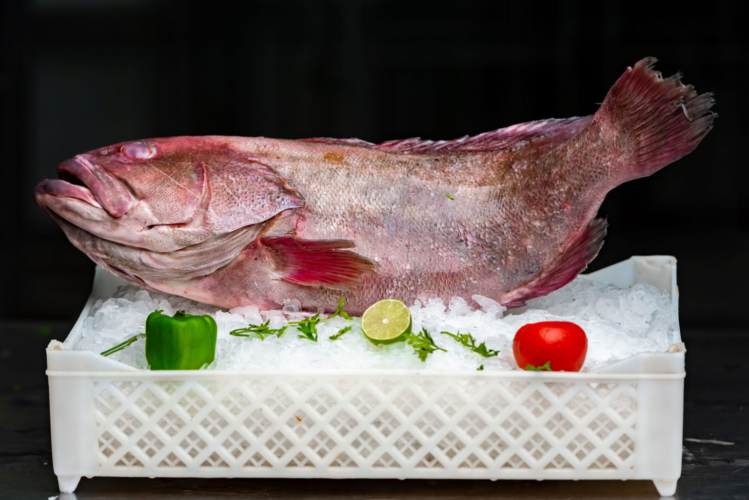 Commande de Thiof | Livraison Merou à Dakar | Sen Poisson