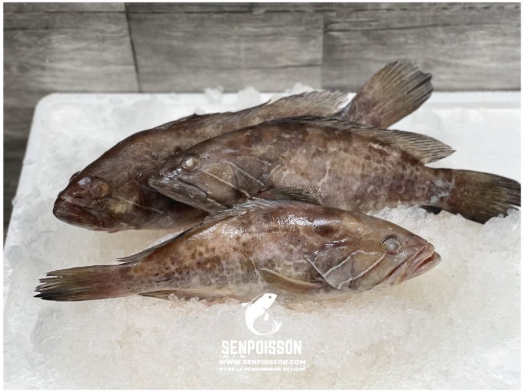 Thiof au four - SenPoisson