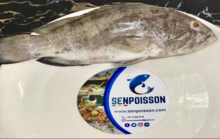 Accueil - SenPoisson - Poissonnerie en Ligne