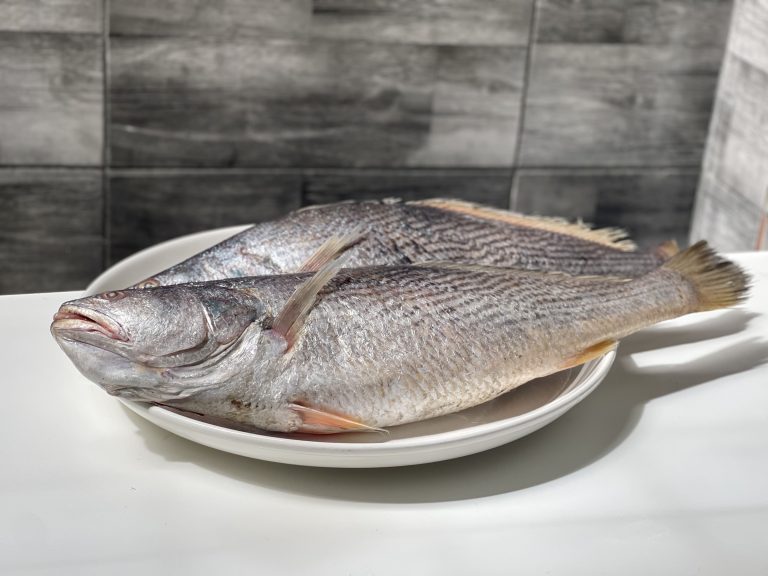 Poisson capitaine blanc à livrer sur Dakar | Sen Poisson