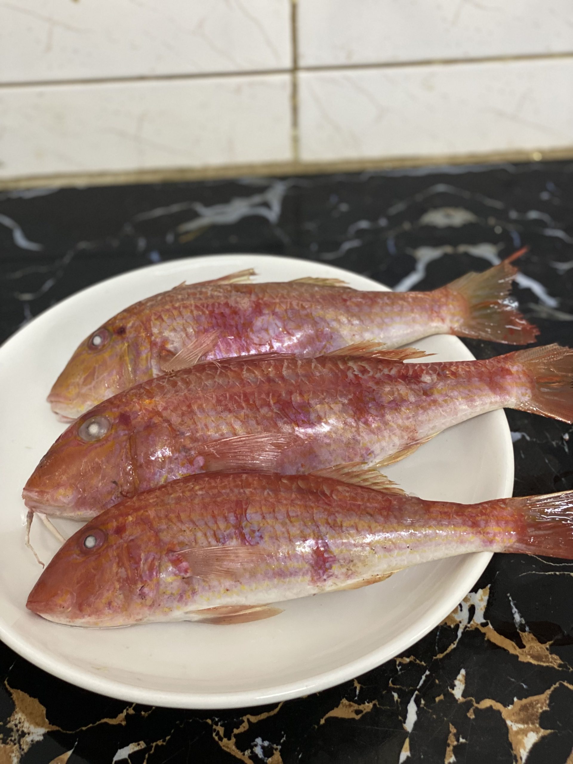 Poissons - SenPoisson