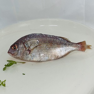 Pageot / Youfouf - SenPoisson