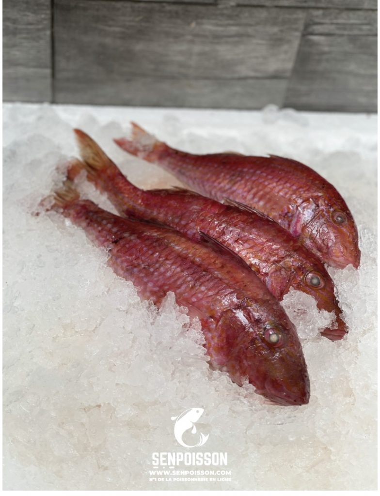 Commande de Thiof | Livraison Merou à Dakar | Sen Poisson