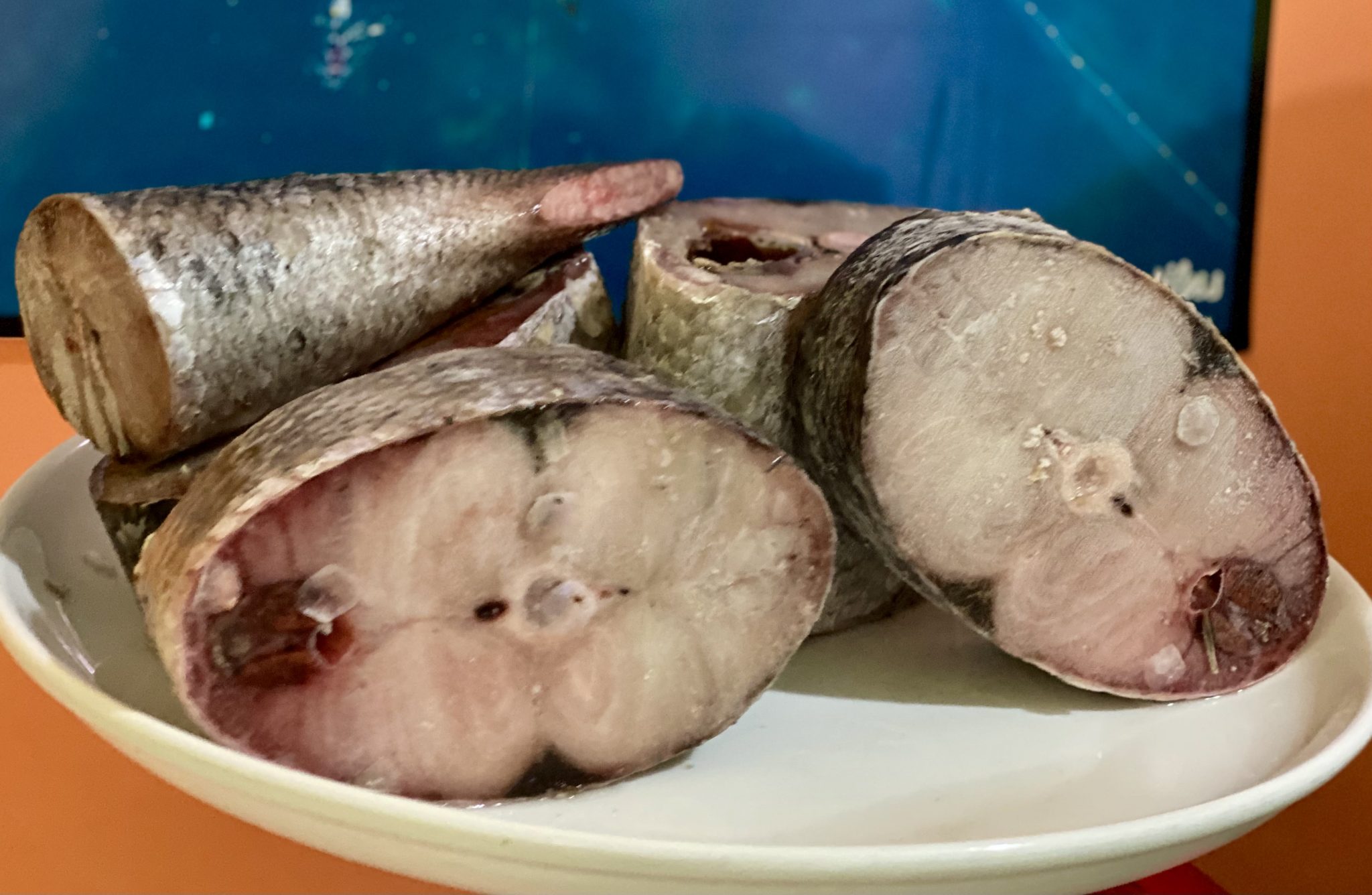 Thiof GM - SenPoisson