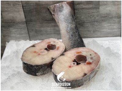 Barracuda frais ou seude à commander sur Dakar | Sen Poisson