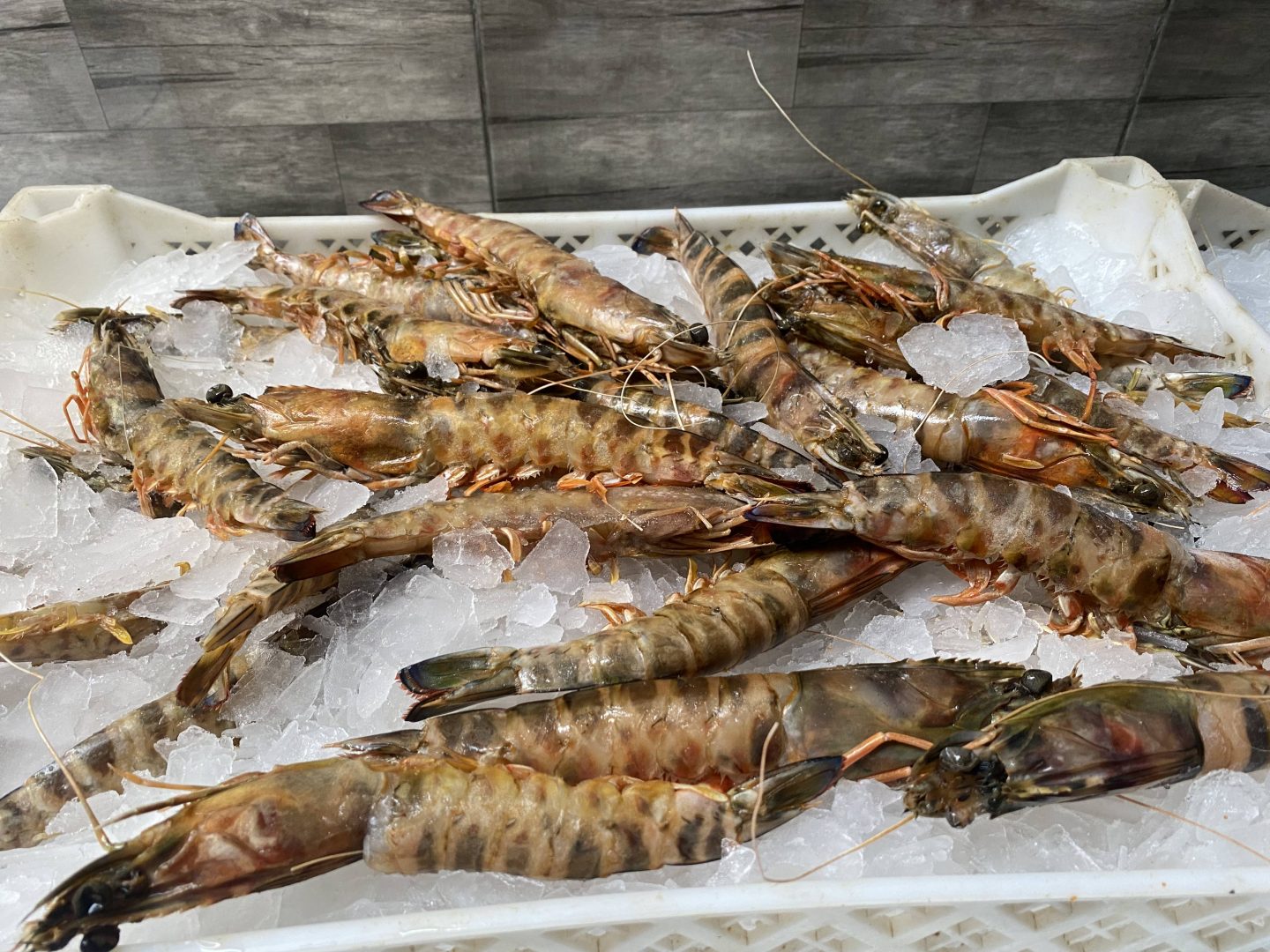 Fruits de Mer - SenPoisson